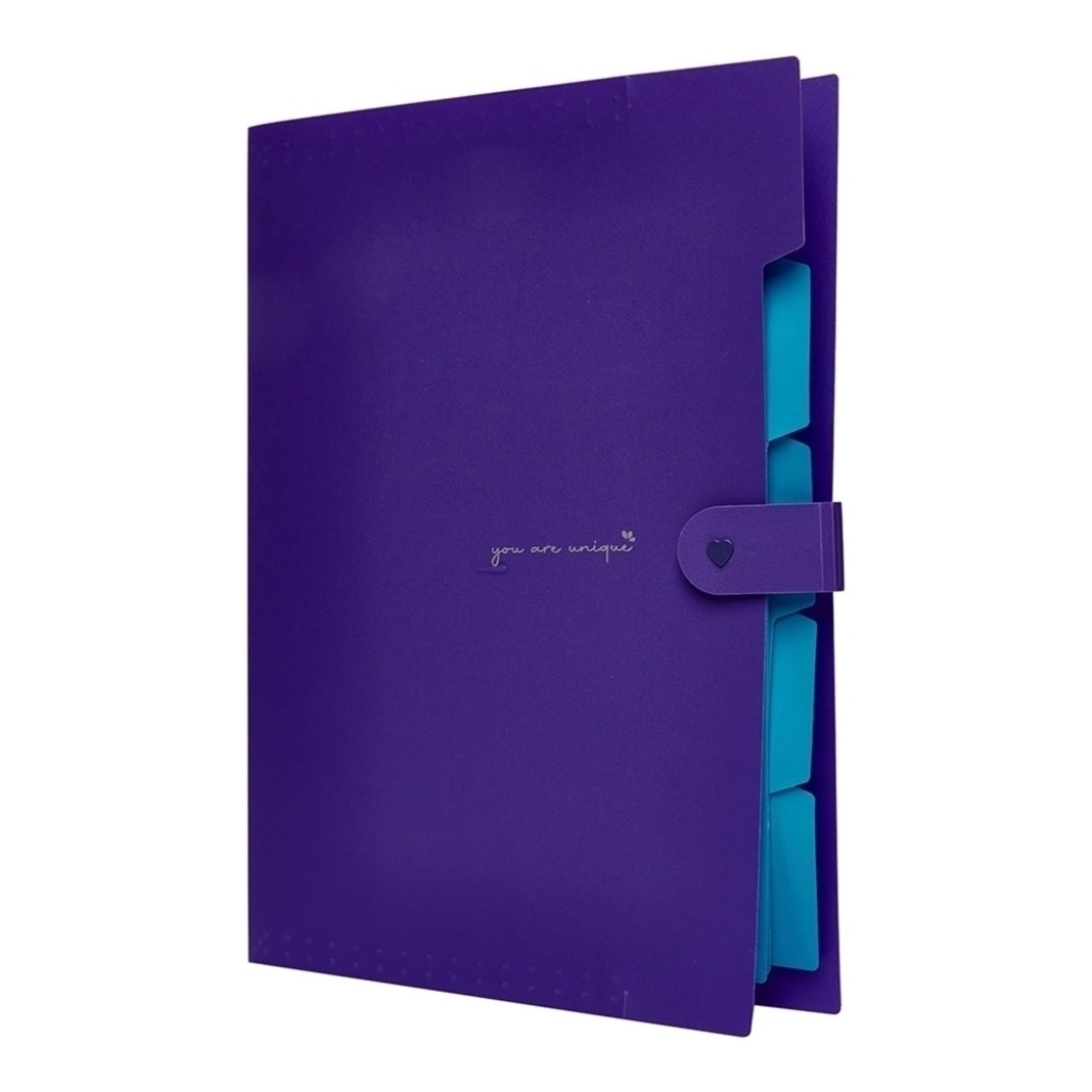 Santa Rosa Paper | PASTA SANFONADA A/4 C/ 5 DV - LILAS NEON